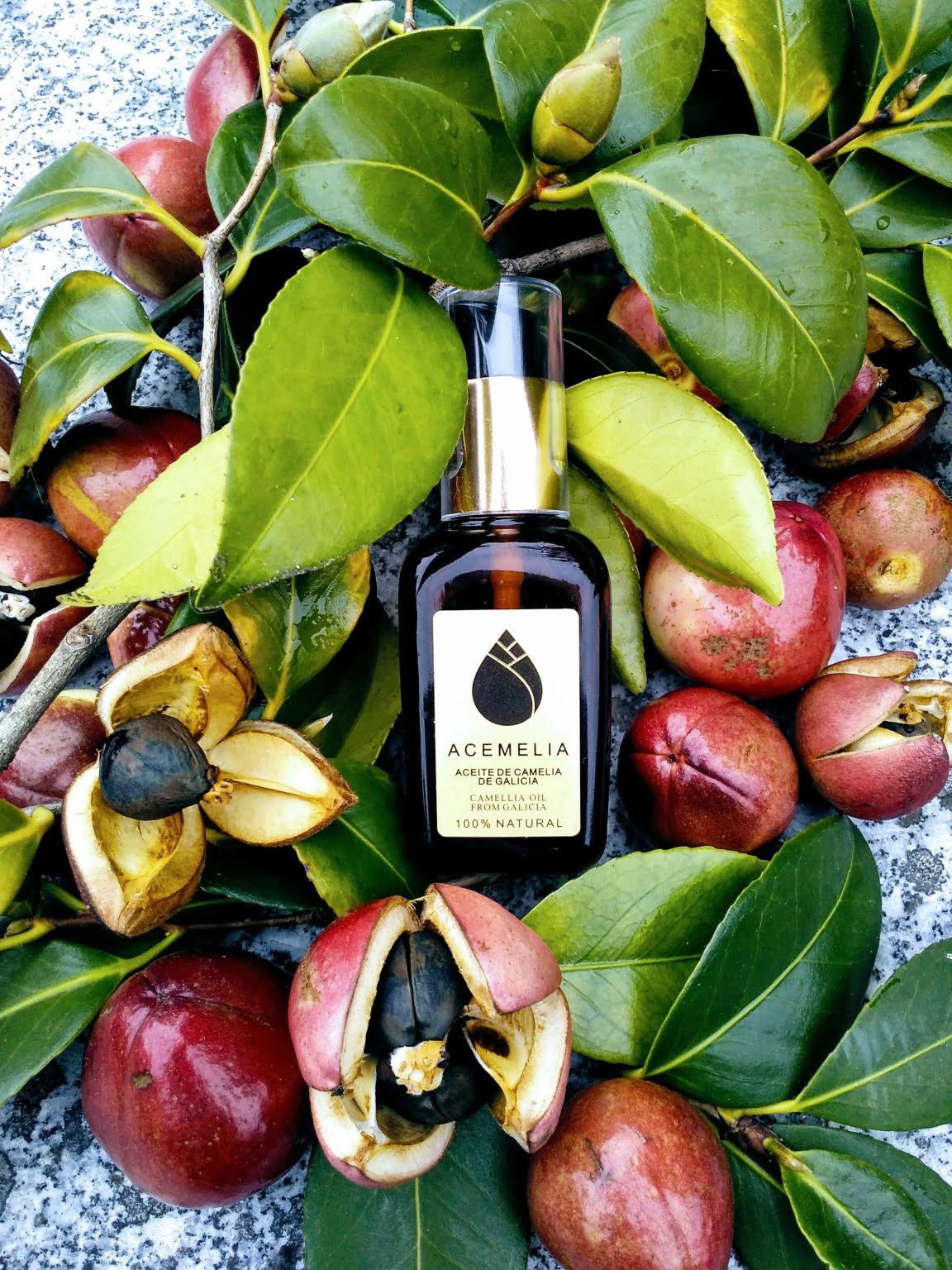 Rosehip Oil Vs Camellia Oil. Comparison and benefits