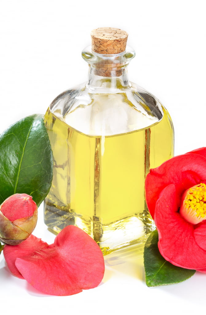 Acemelia: BIO Camellia Oil Factory | Traditional artisan manufacturing
